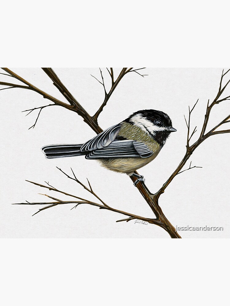 "Charming Chickadee" Sticker for Sale by jessicaanderson | Redbubble