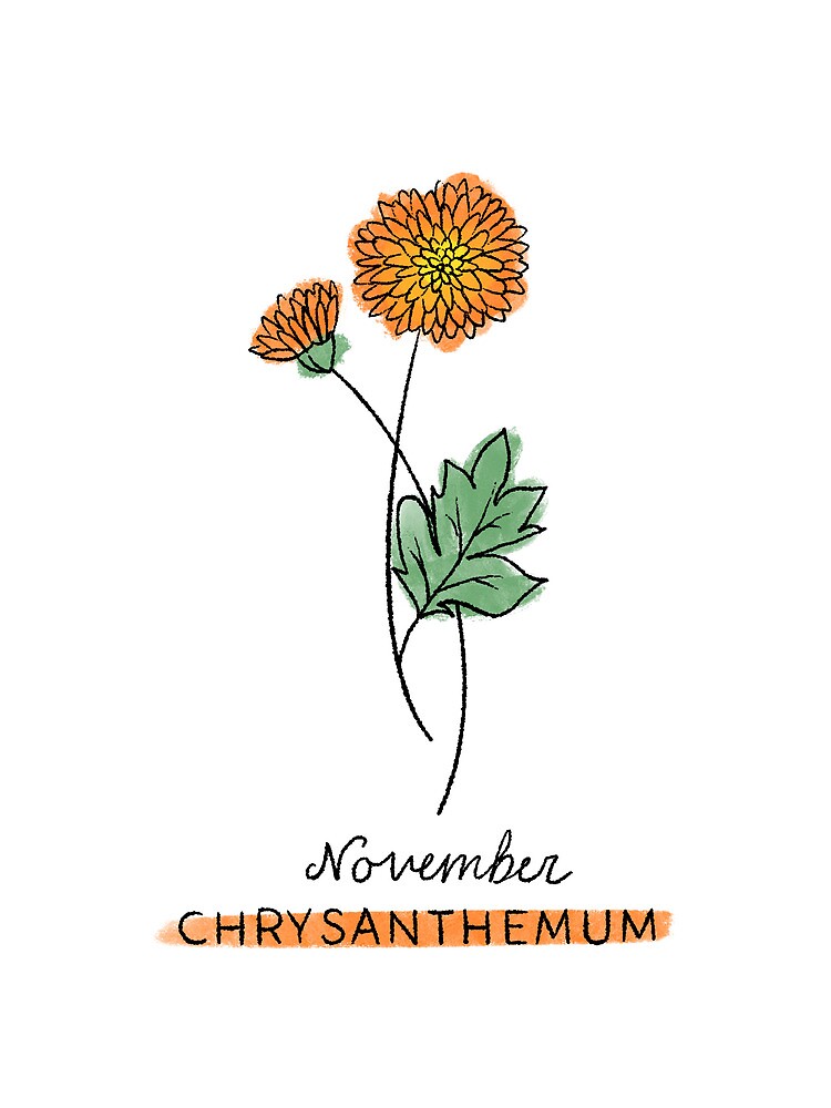 November Month Flower Drawing