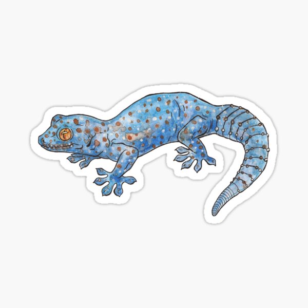Tokay Gecko Stickers | Redbubble
