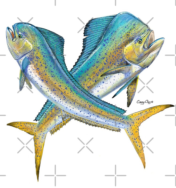 "Cow and Bull Mahi" by Carey Chen | Redbubble