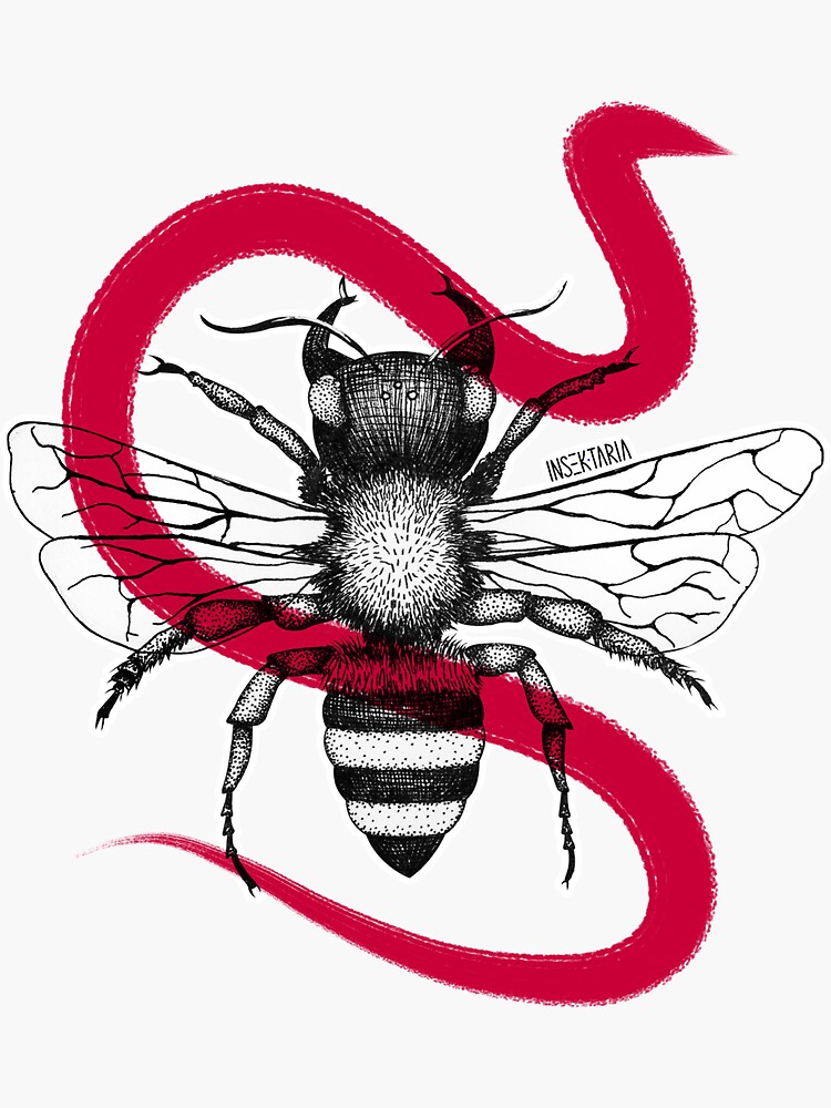 "Giant Wallace Bee" Sticker for Sale by Insektaria | Redbubble