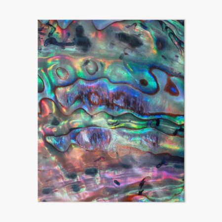 "Abstract Paua Abalone Shell Texture Pattern, Polished Paua Abalone ...