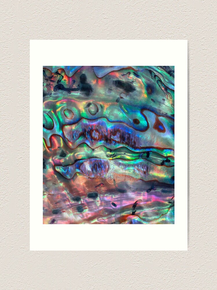 "Abstract Paua Abalone Shell Texture Pattern, Polished Paua Abalone ...