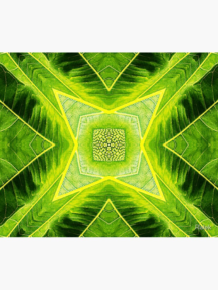 " ABSTRACT PAINTED GEOMETRIC ART BREADFRUIT PATTERN WITH LEAVES ...