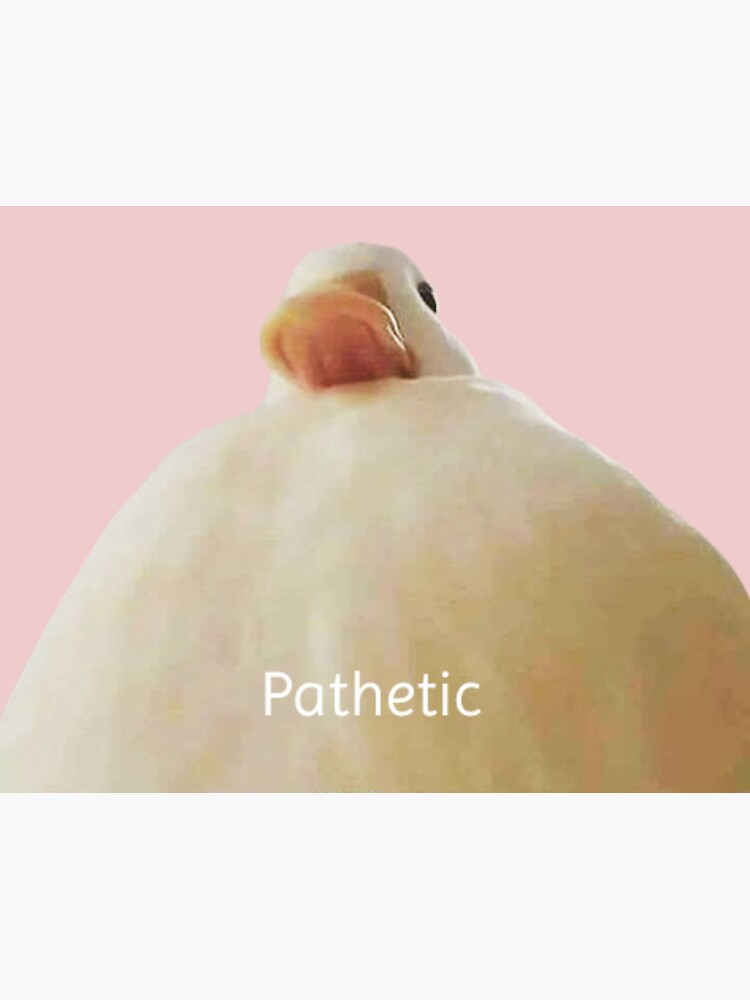 "Duck meme" Poster for Sale by tttatia | Redbubble