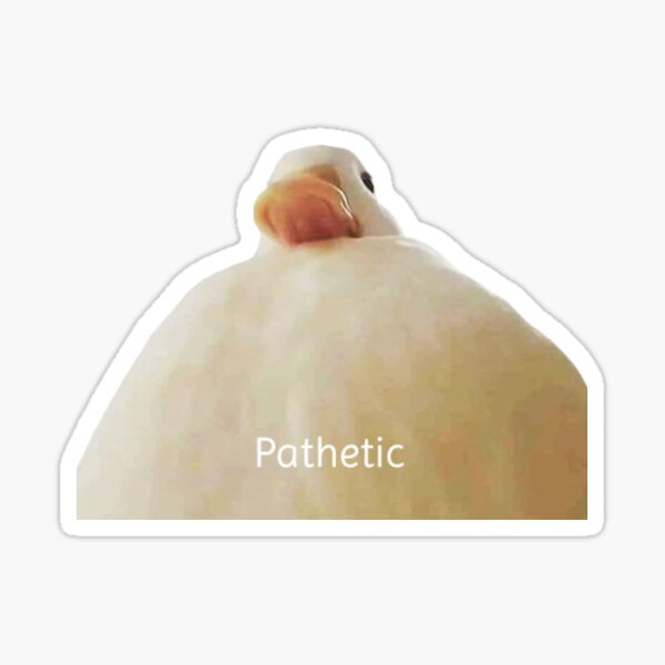 "Duck meme" Sticker for Sale by tttatia | Redbubble