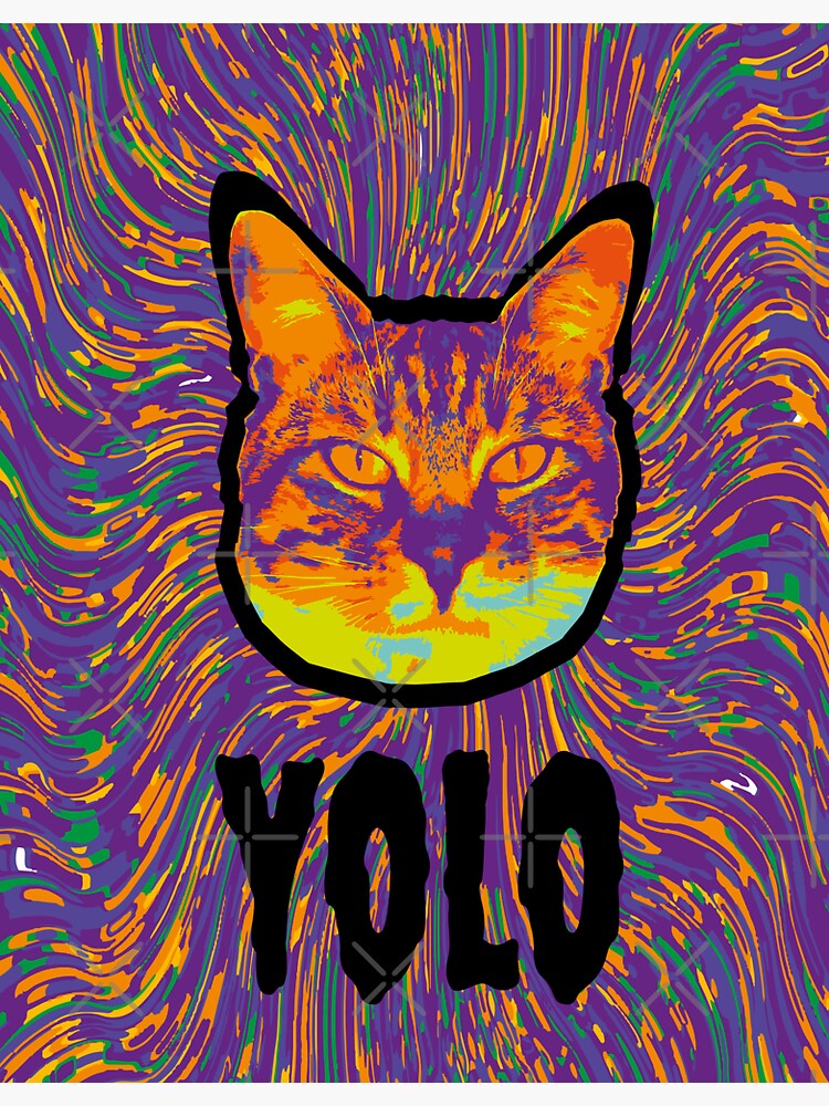 "Yolo colorful cat" Sticker for Sale by BiGiK | Redbubble