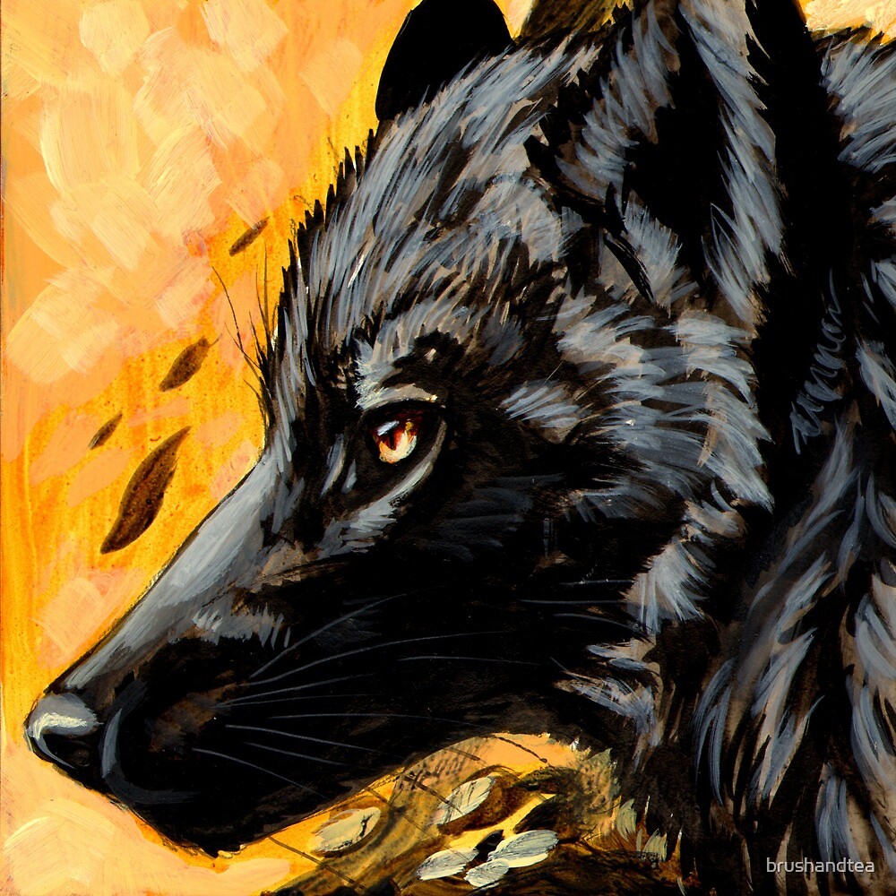 "Ash Fox" by brushandtea | Redbubble