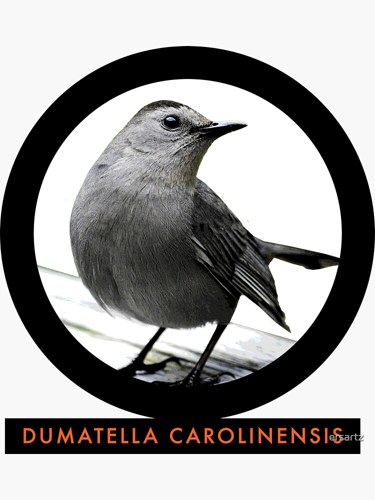 "Catbird / Emblematic Design" Sticker for Sale by ersartz | Redbubble