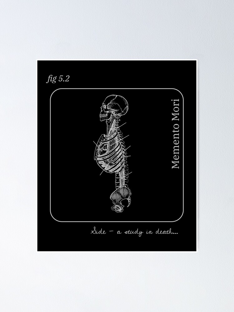 "Memento Mori: Skeleton A Study In Death - Side" Poster for Sale by ...