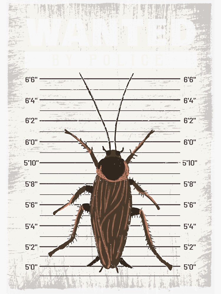"Wanted roach mugshot funny pest" Sticker for Sale by MollieCooper98 ...