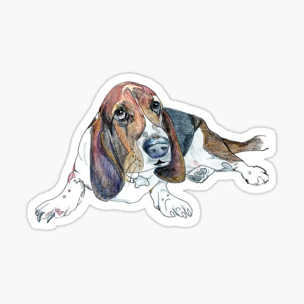 Basset Hound Stickers | Redbubble