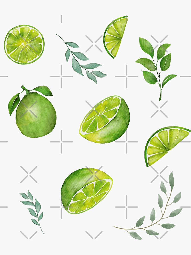 "Limes" Sticker for Sale by Aleczka | Redbubble