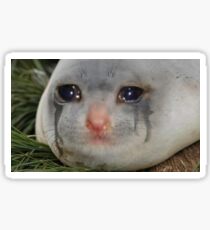 Crying Cat Meme: Stickers | Redbubble