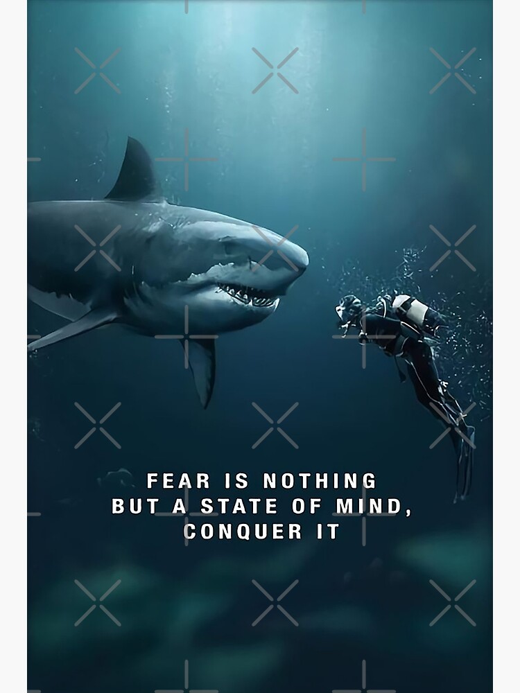 "fear is nothing but a State Of Mind Shark conquer it shark lover ...