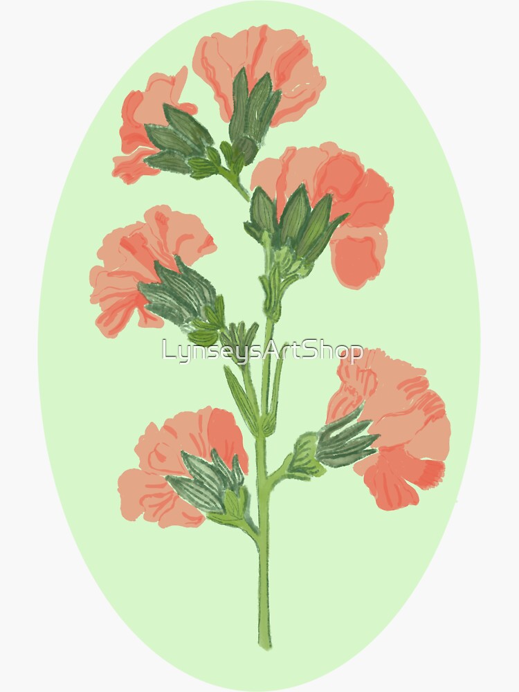 "Carnation flowers cottagecore / countrycore style stickers " Sticker ...