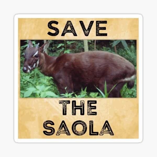 "Save The Saola" Sticker for Sale by Rio10 | Redbubble