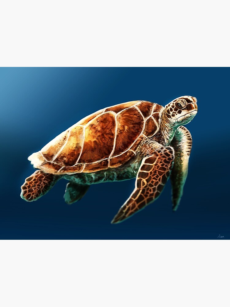 "Sea Turtle" Poster for Sale by alandodrawing | Redbubble