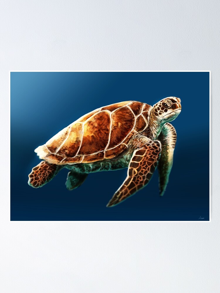"Sea Turtle" Poster for Sale by alandodrawing | Redbubble