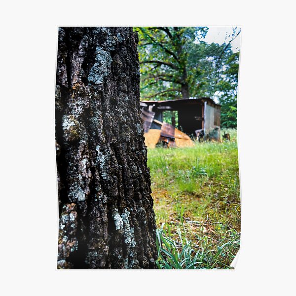 "TF Trees #40" Poster for Sale by tfwarden | Redbubble