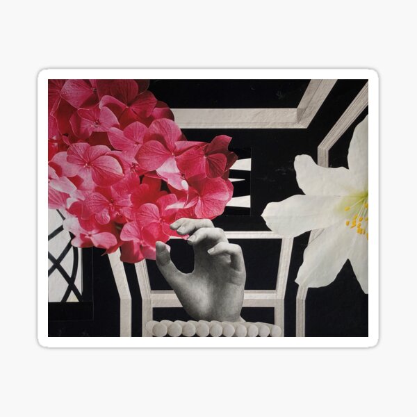 "Petal Plucker" Sticker for Sale by songbirdcollage | Redbubble