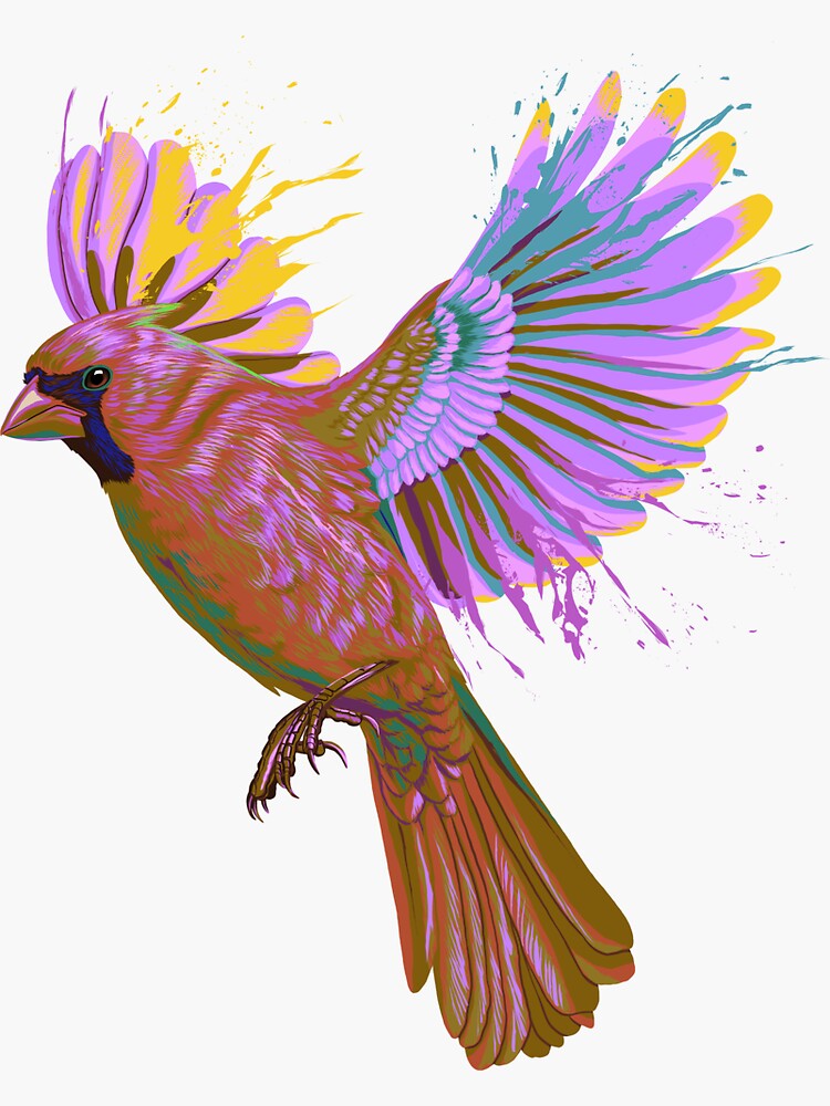 "Colorful Fying Splash Bird Northern Cardinal" Sticker for Sale by alwe ...
