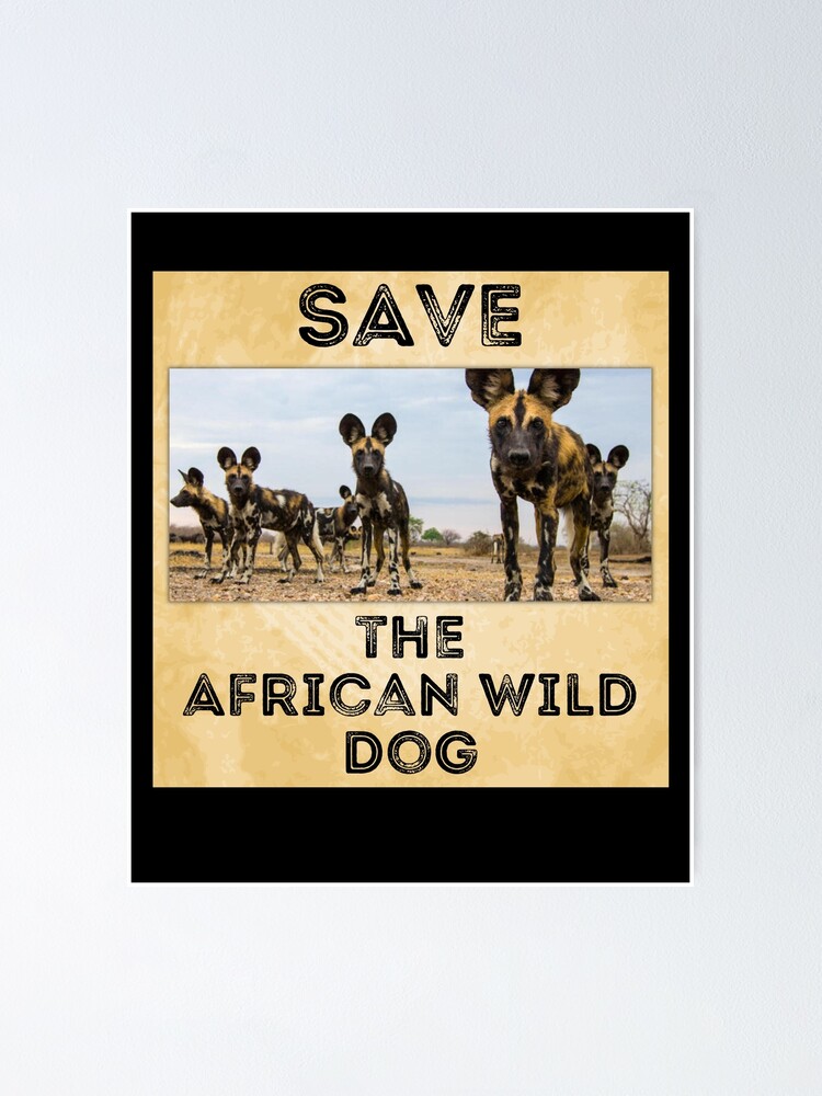 "Save The African Wild Dog" Poster for Sale by Rio10 | Redbubble