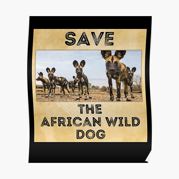 "Save The African Wild Dog" Poster for Sale by Rio10 | Redbubble