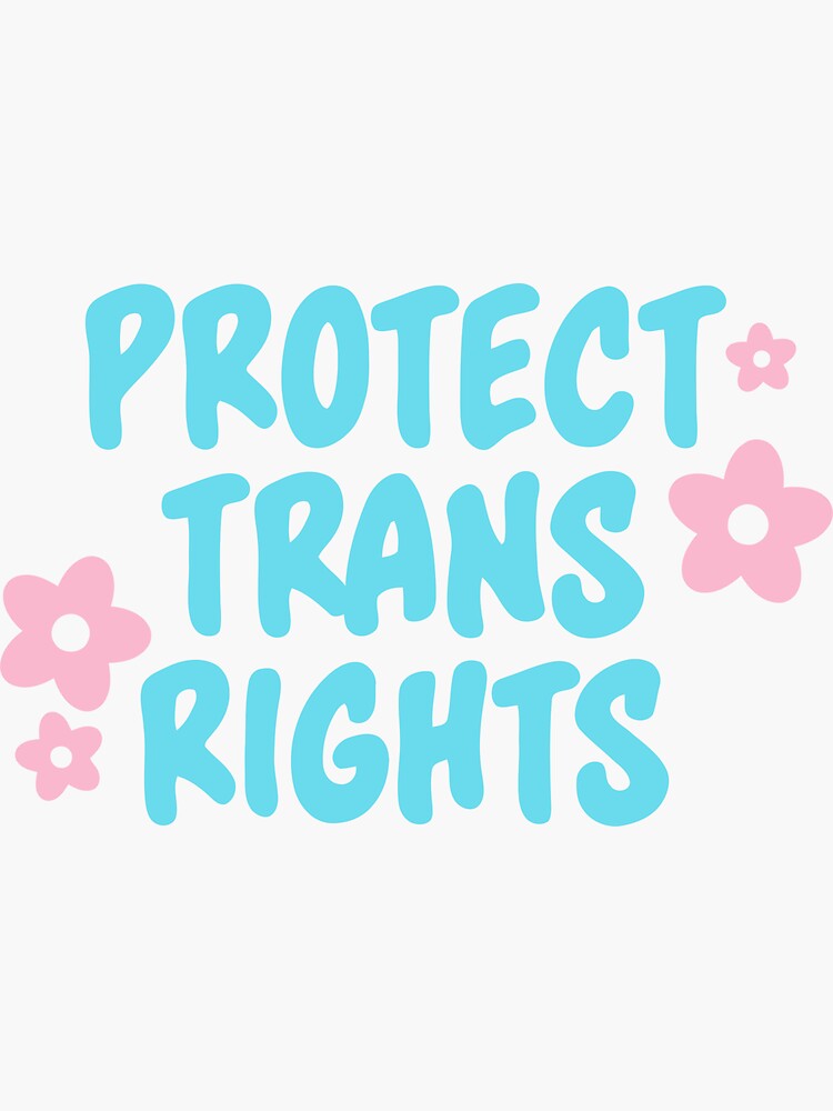 "Protect Trans Rights" Sticker for Sale by DelfinaLindsey | Redbubble