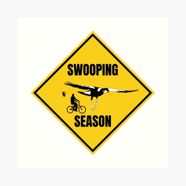 "Australian magpie swooping season warning sign" Art Print for Sale by ...