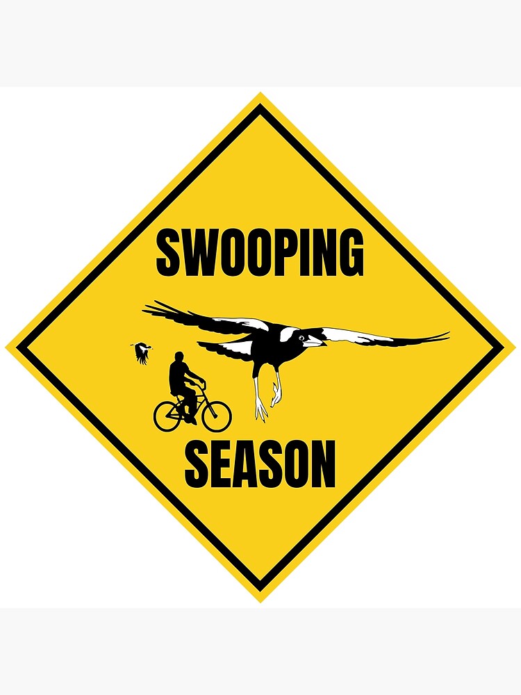 "Australian magpie swooping season warning sign" Poster for Sale by ...