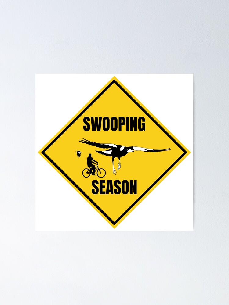 "Australian magpie swooping season warning sign" Poster for Sale by ...