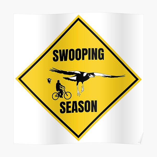 "Australian magpie swooping season warning sign" Poster for Sale by ...
