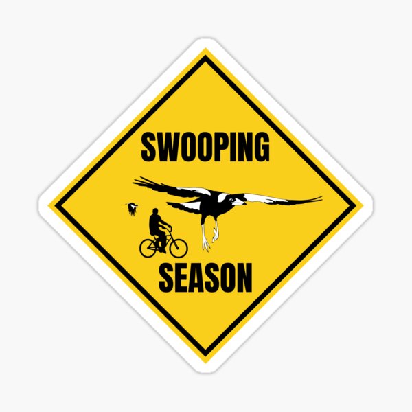 "Australian magpie swooping season warning sign" Sticker for Sale by ...