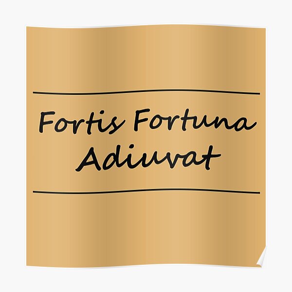 "Latin Fortune Favours the Bold - Cool Motivational Quotes" Poster for ...