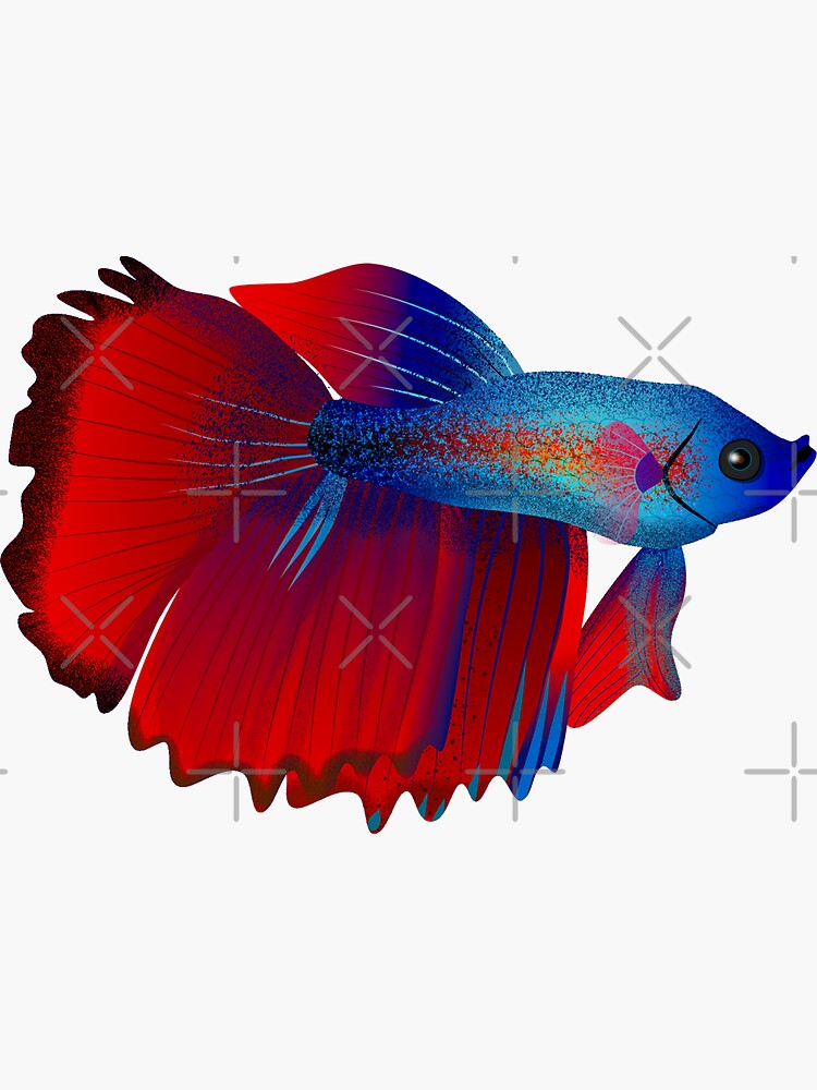 "Blue Betta Fish" Sticker for Sale by MadebyCRO | Redbubble