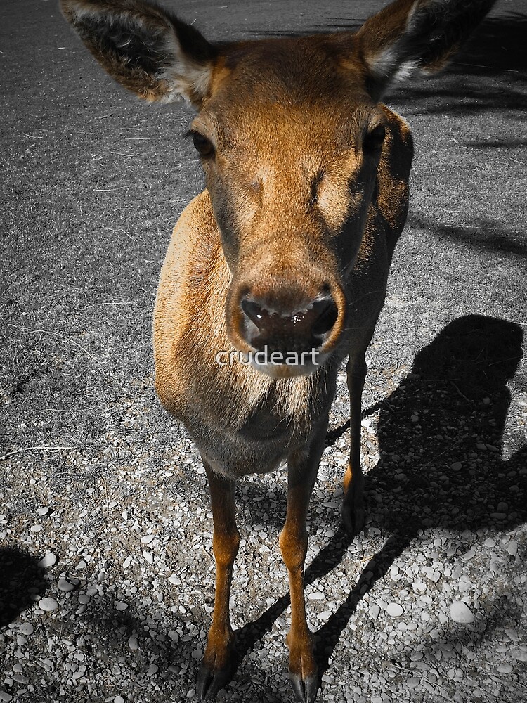 "DOE" Poster for Sale by crudeart | Redbubble