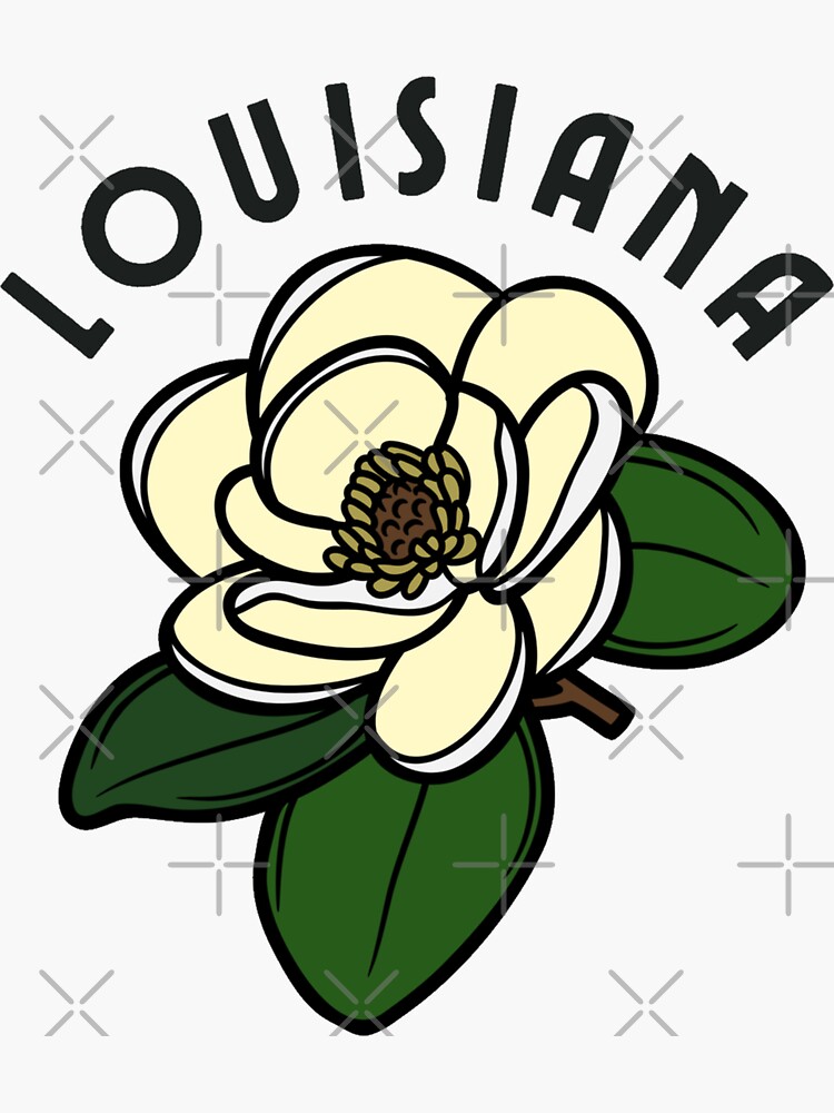 "Art Deco Louisiana Magnolia - Black Text (State Flowers) " Sticker for ...