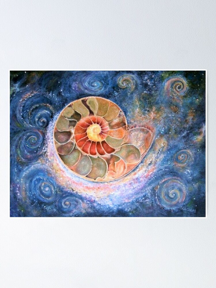 "The Ammonite Fossil Galaxy " Poster for Sale by kaffygal | Redbubble