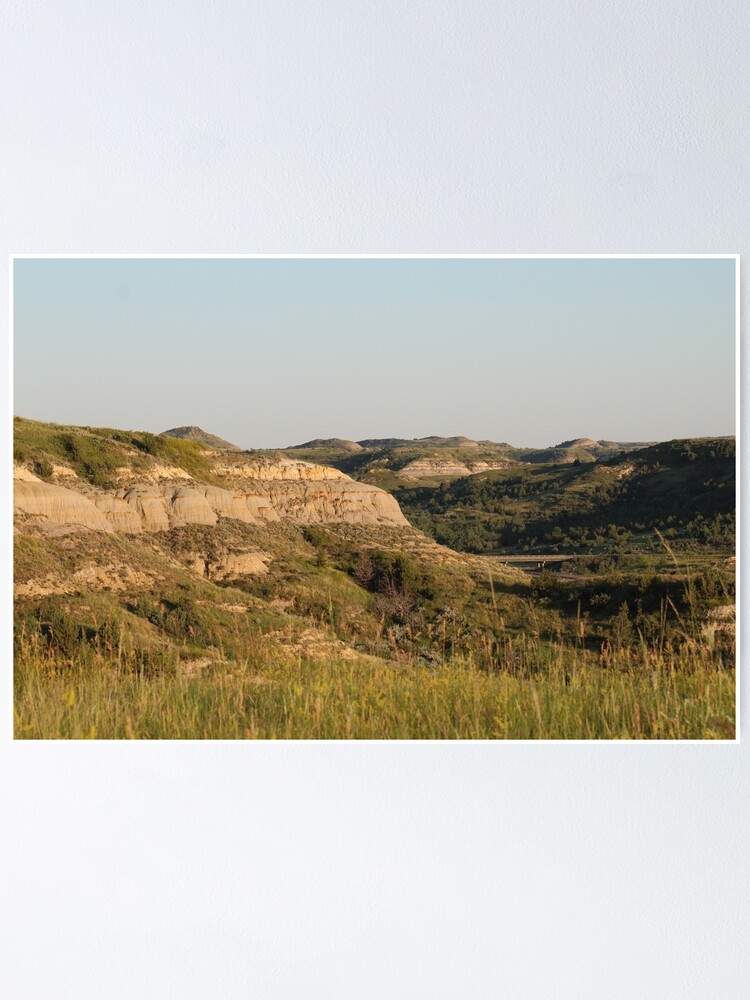 "Teddy Roosevelt NP" Poster for Sale by CF-Designs | Redbubble