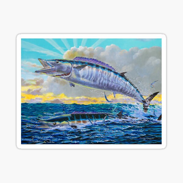 "Wahoo Sunset" Sticker for Sale by Bluemarlin | Redbubble