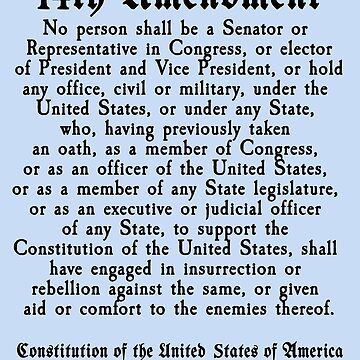 "14th Amendment US Constitution Section 3" Sticker for Sale by ...