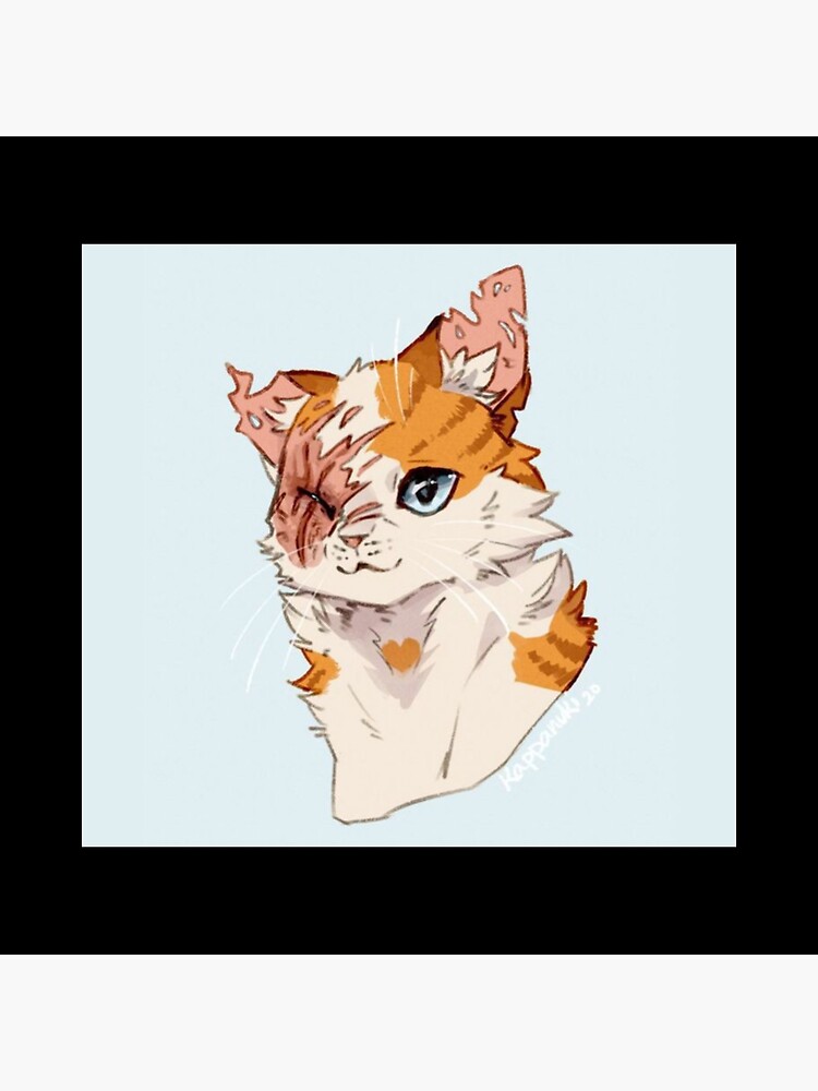 "Brightheart, warrior cats, warriors, cat, cats, thunderclan, lostface ...