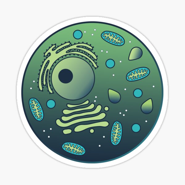 "Cool Animal Cell" Sticker for Sale by StephJChild | Redbubble