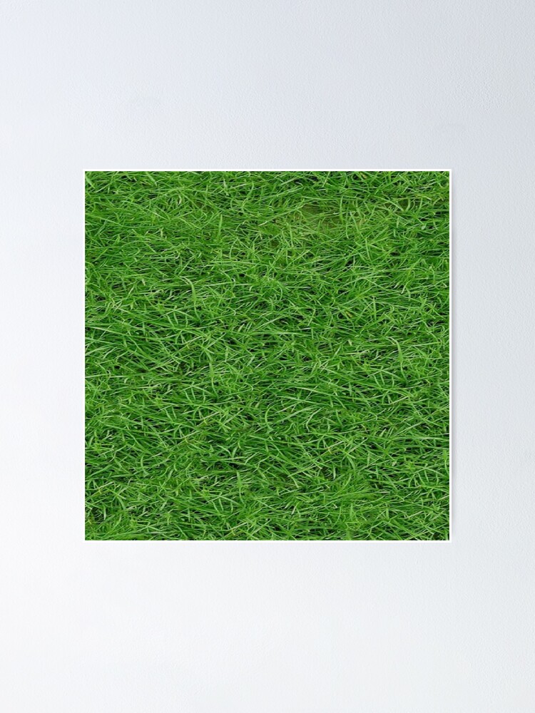 "Grass Green" Poster for Sale by DragonRojoUrban | Redbubble