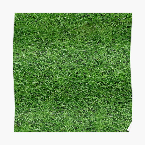 "Grass Green" Poster for Sale by DragonRojoUrban | Redbubble