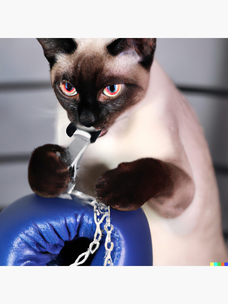 "angry cat with boxing glove" Sticker for Sale by vanestefani | Redbubble