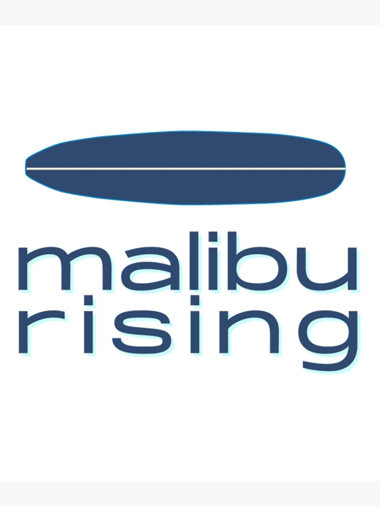 "Malibu Rising Taylor Reid Book Novel Illustration " Poster for Sale by ...