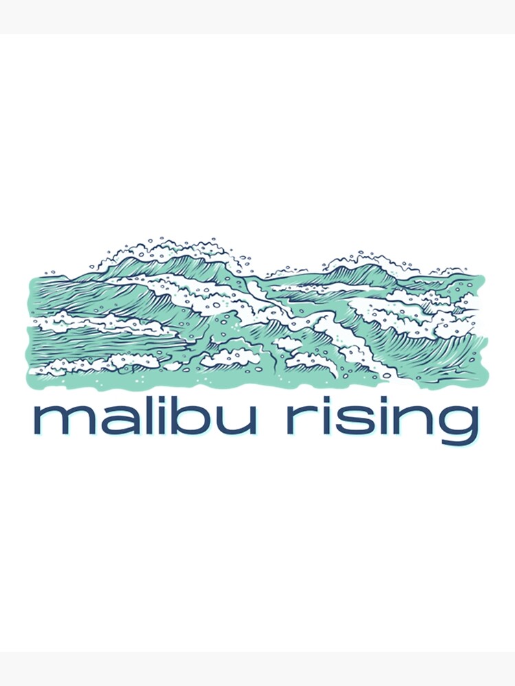 "Malibu Rising Taylor Reid Book Novel Illustration " Poster for Sale by ...