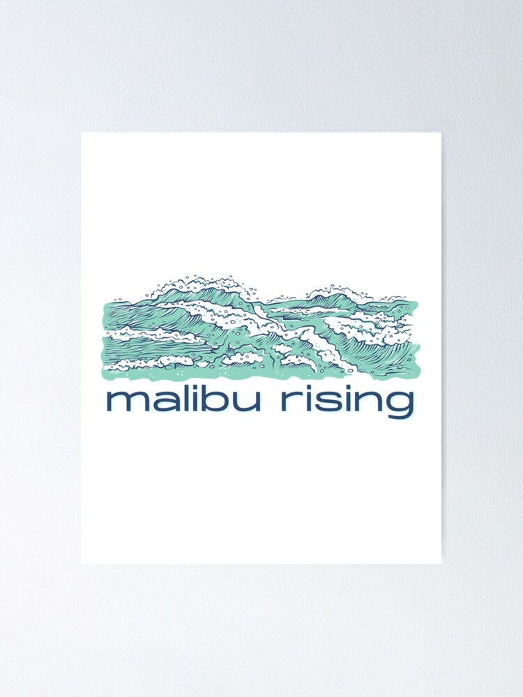 "Malibu Rising Taylor Reid Book Novel Illustration " Poster for Sale by ...